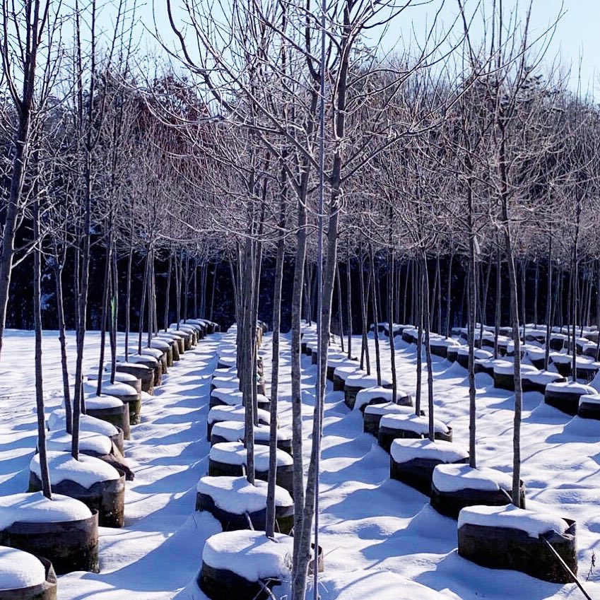 Root Pouch fabric pots made of recycled water bottles