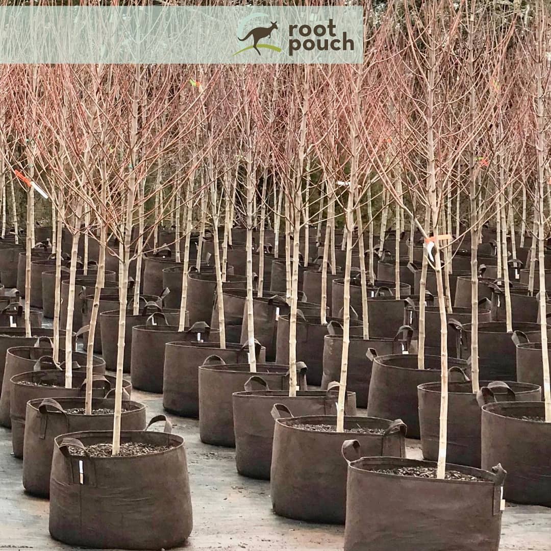 Root Pouch fabric pots made of recycled water bottles