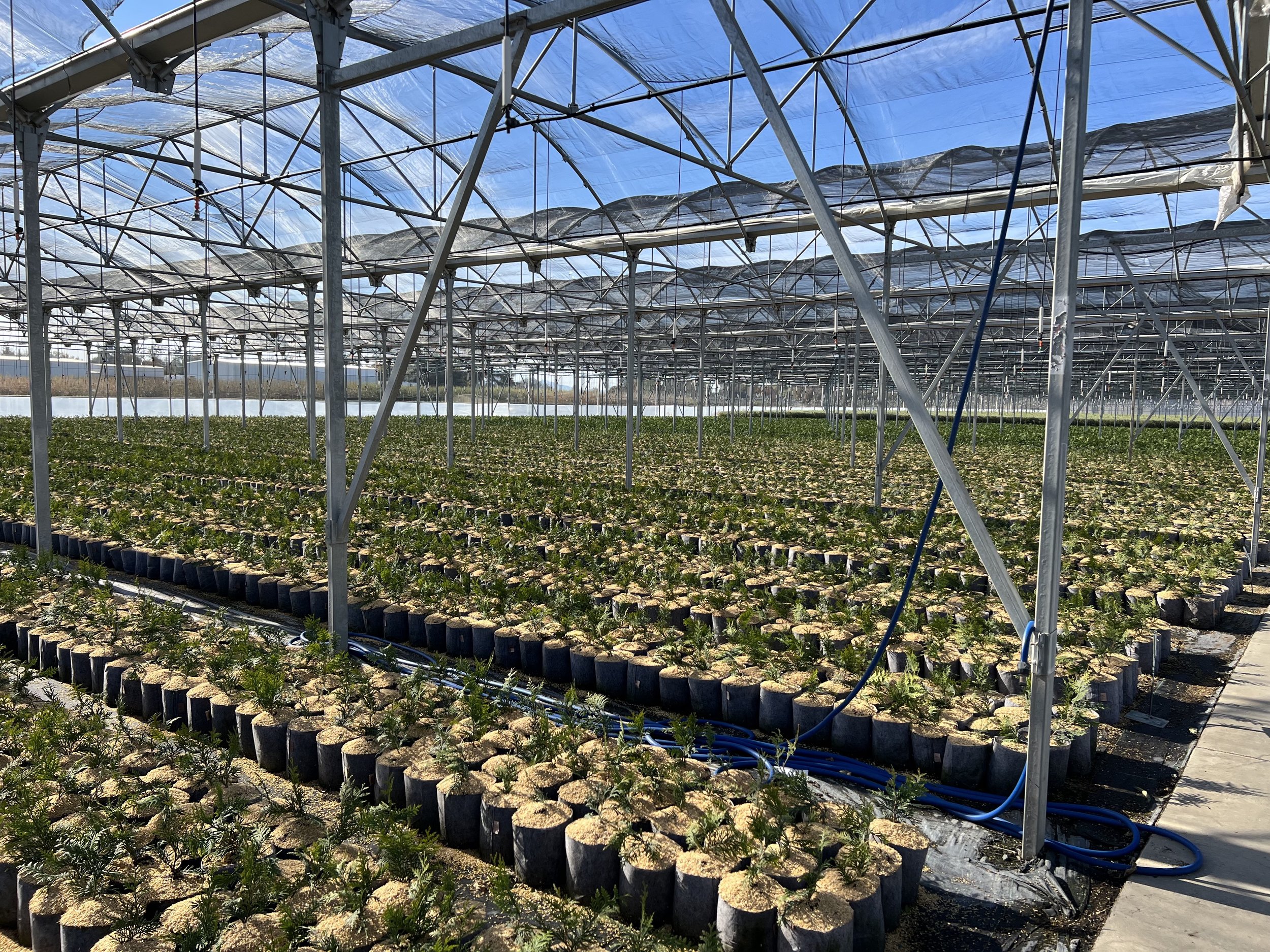 Root Pouch fabric pots made of recycled water bottles