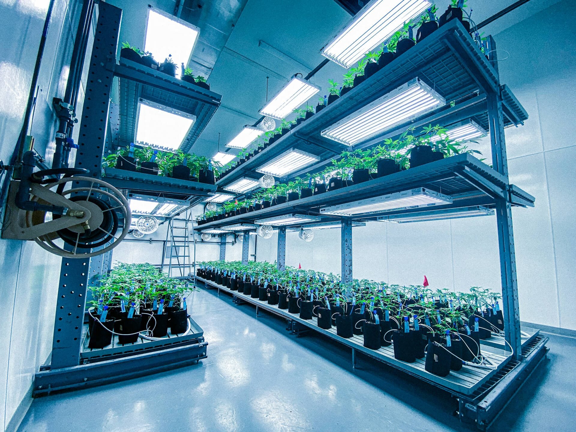 Root Pouch fabric pots made of recycled water bottles