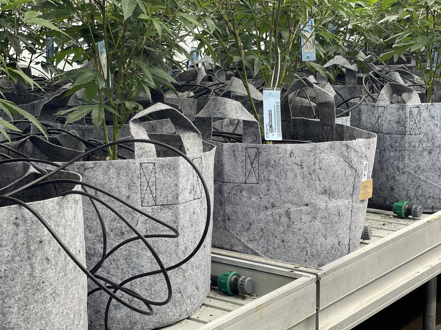 Root Pouch fabric pots made of recycled water bottles