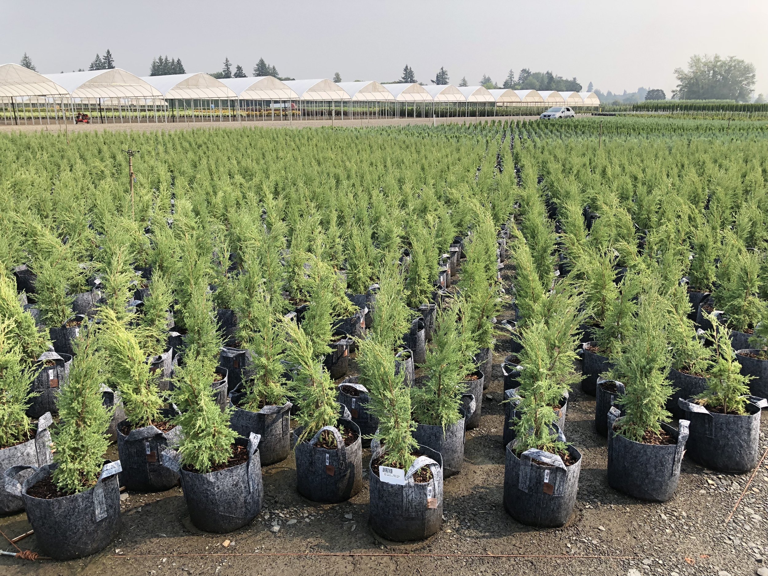 Root Pouch fabric pots made of recycled water bottles