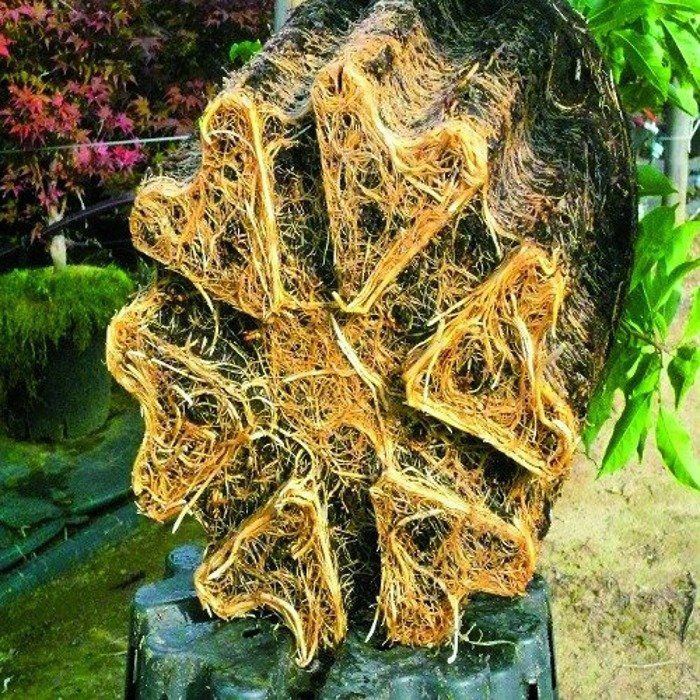 Doniczka Hercules SUPER-ROOTS 7,5L - większe korzenie | Growshop GrowTent