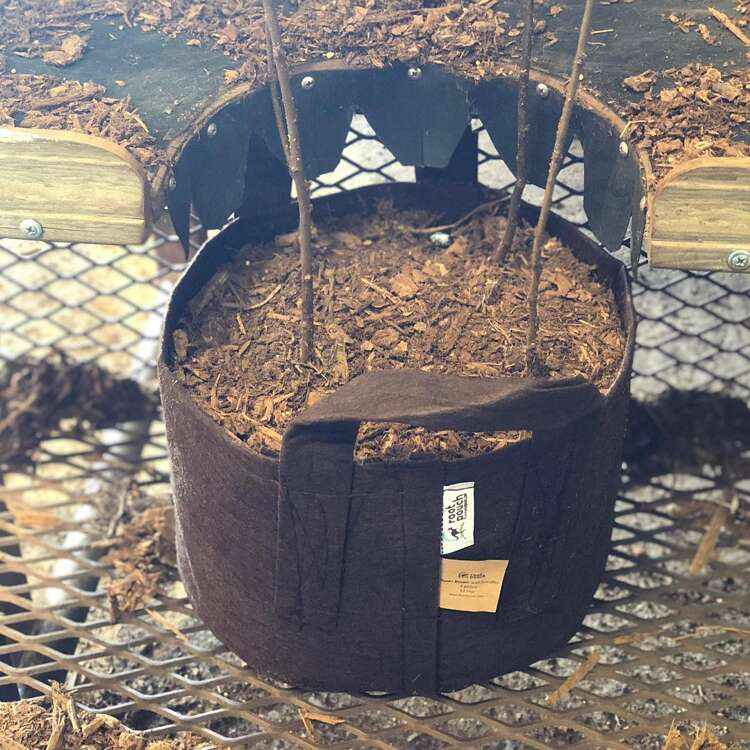 Growbag Root Pouch doniczka materiałowa 35x30cm 30L z uchwytem brązowa ...